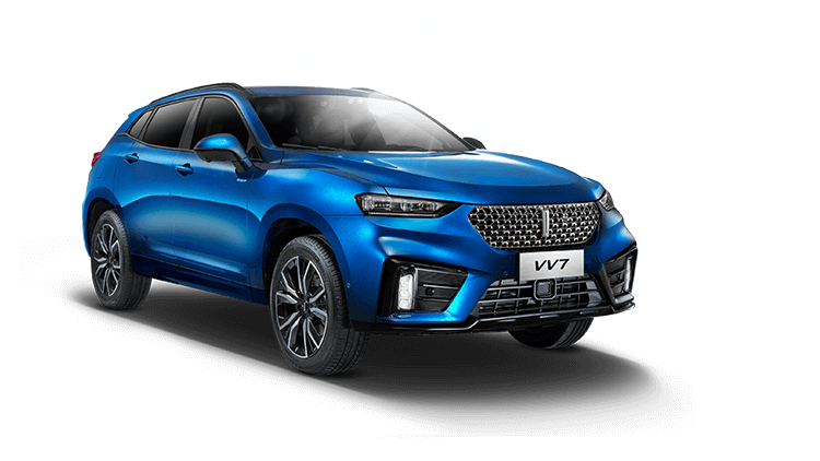 30万+信赖 WEY中国骄傲_魏派WEY官网